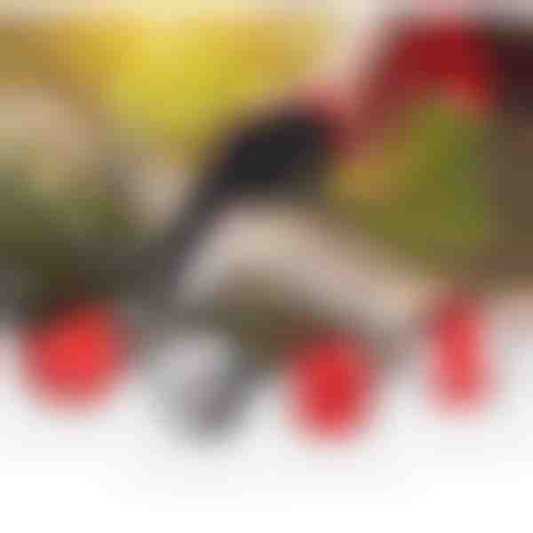 Fierăstrău electric de mână BRENCHIE – Vigoexpress.ro